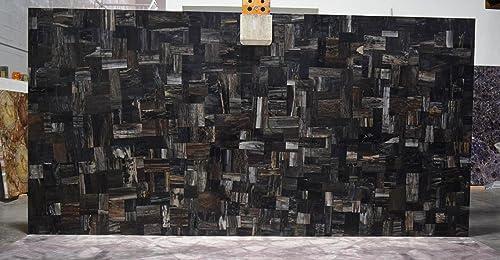 Transform Our Space with a Stunning Petrified Table Top ...