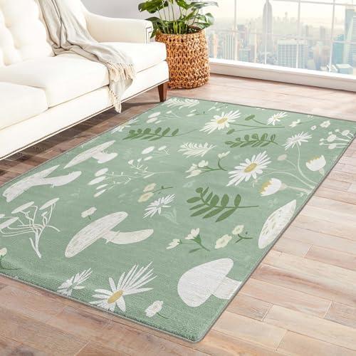 Transforming Spaces: Our Experience with the Botanical Rug ...